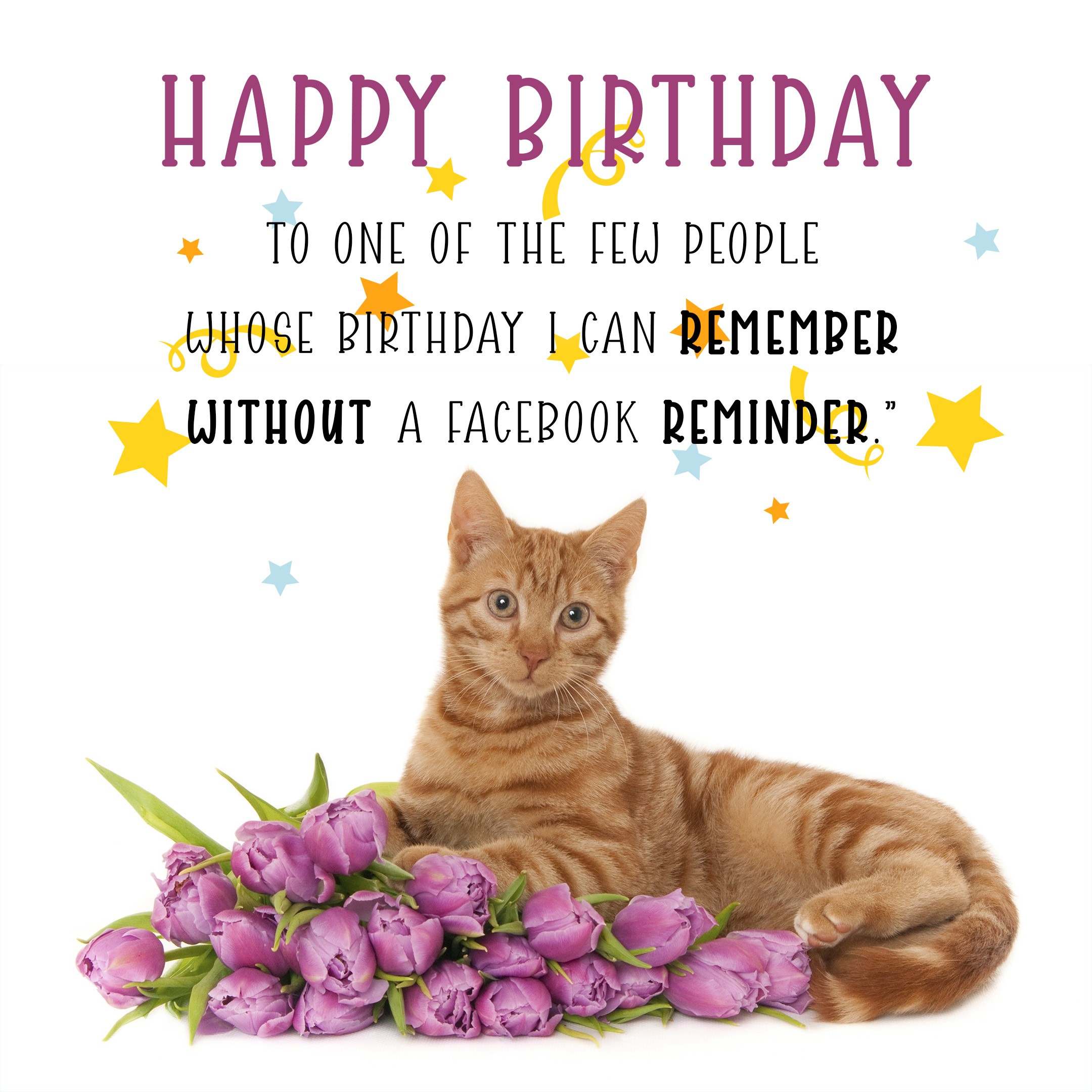Free Funny Happy Birthday Image With Flowers And Cat Birthdayimg
