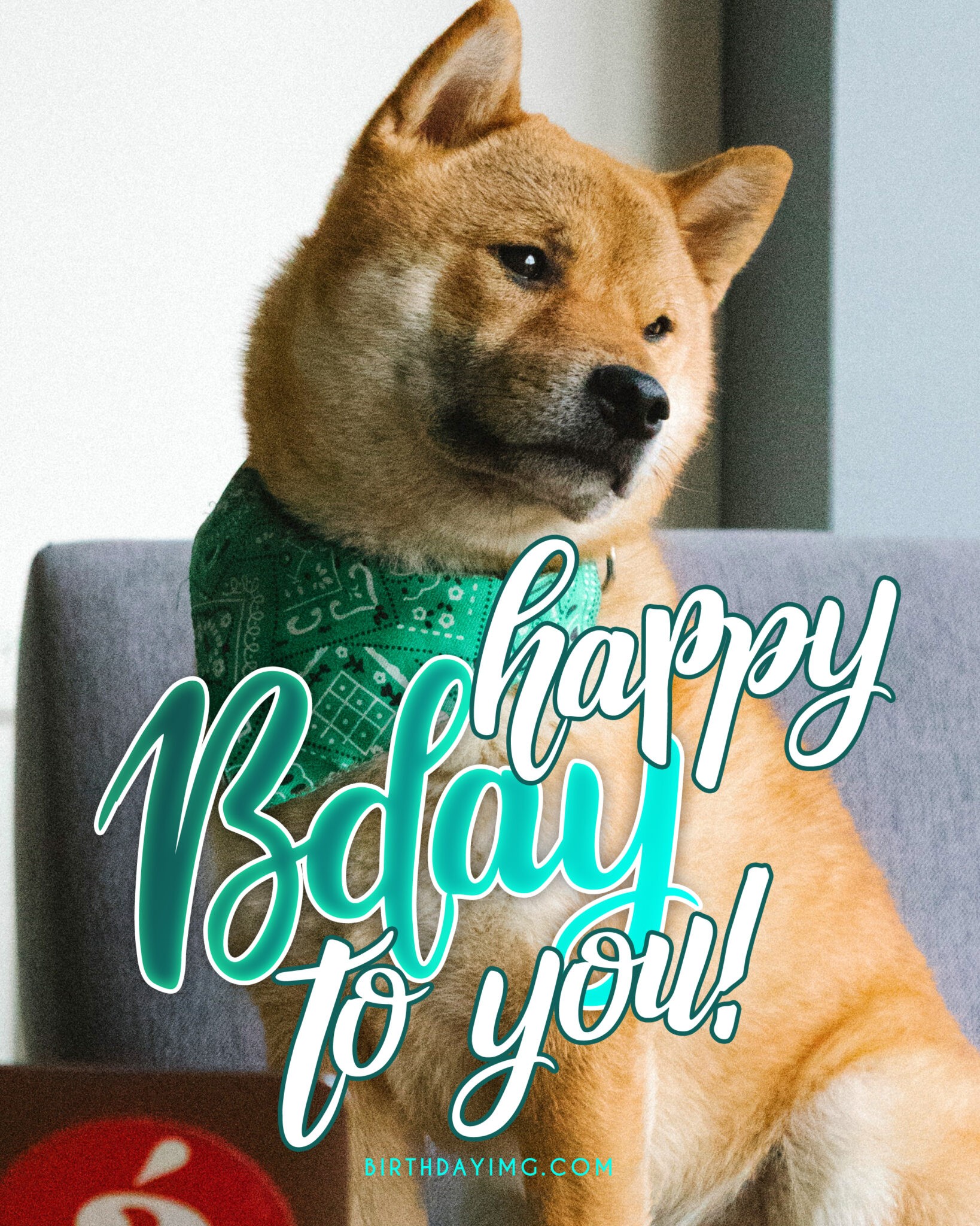 Funny Happy birthday Wishes and Images for Free - birthdayimg.com